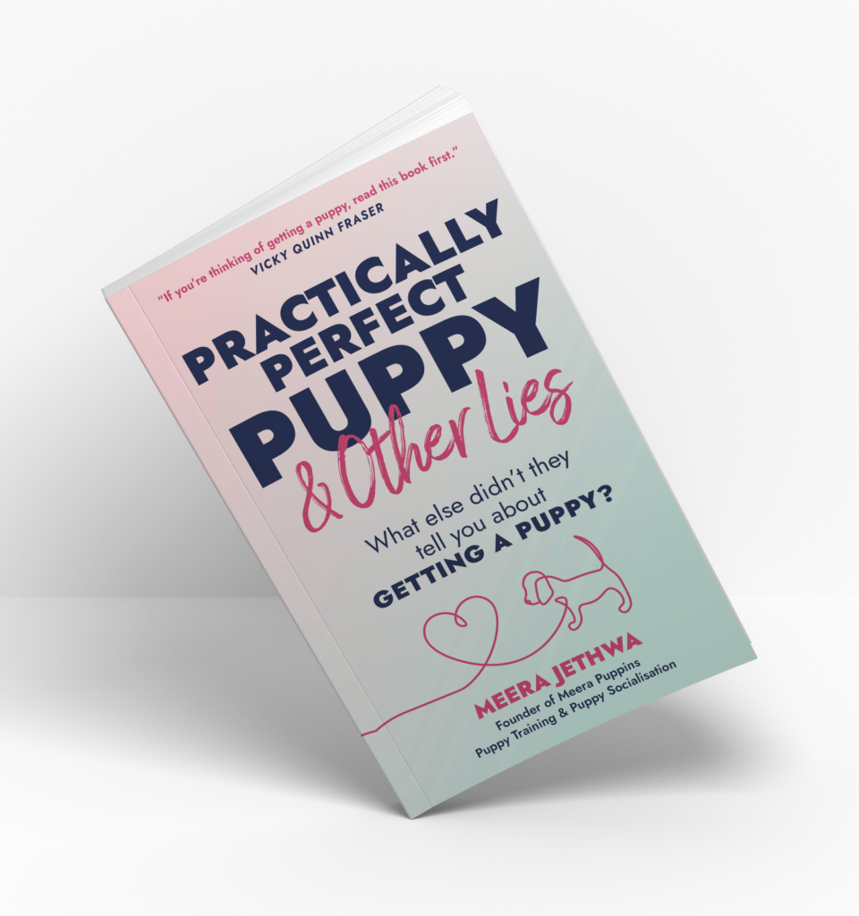 Practically Perfect Puppy & Other Lies | Buy My Book | Meera Puppins